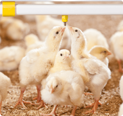 LUBING | Quality and Innovation