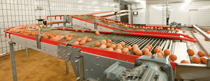 Poultry | LUBING