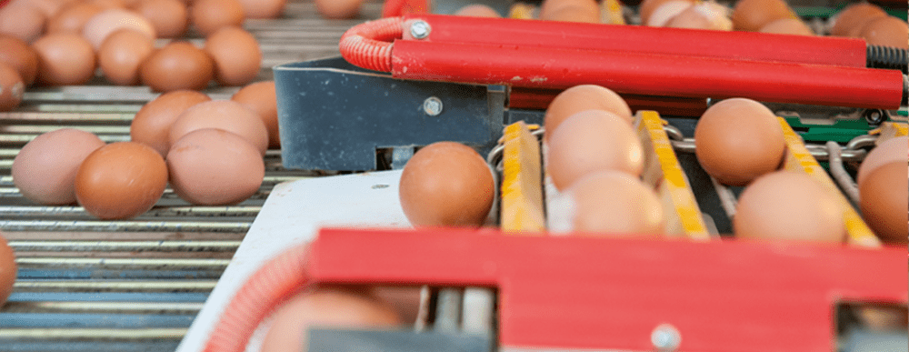 Poultry | LUBING